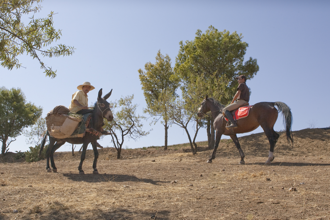Marrakech by Susannah Osborne